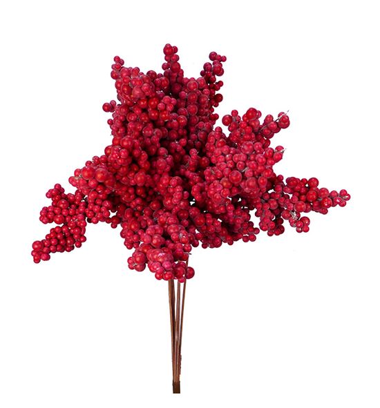 Stick berry grande rojo x10