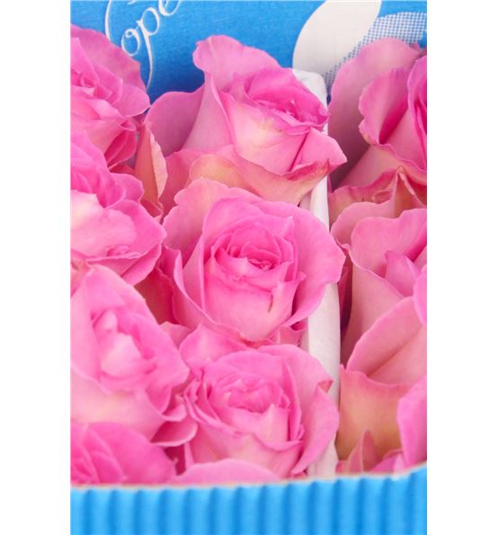 Rosa col sweet unique 60